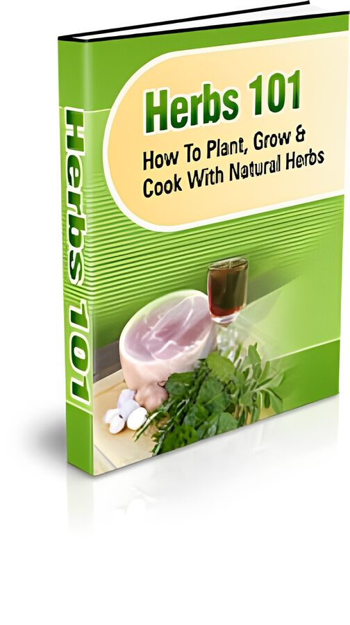 Start Your Own Herb Garden - Growing and Using Herbs Guide