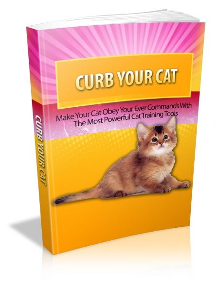 Curb Your Cat: Master Feline Behavior and Care